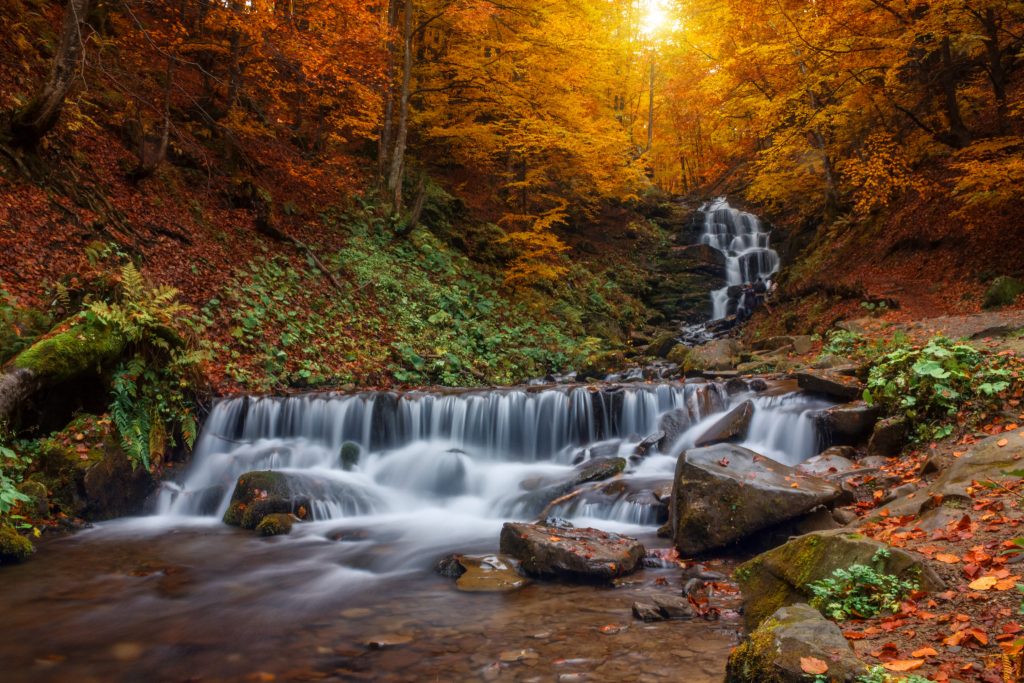 Історія водоспаду Шипіт” ФОТО ВІДЕО Закарпаття Рідне
